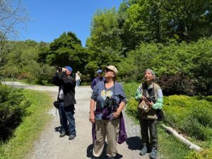 Pop-Up Bird Walk – laurelwoodarboretum.org